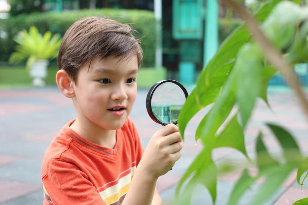 9 Reasons to Use the Project Approach in Your Inclusive Early Childhood ...