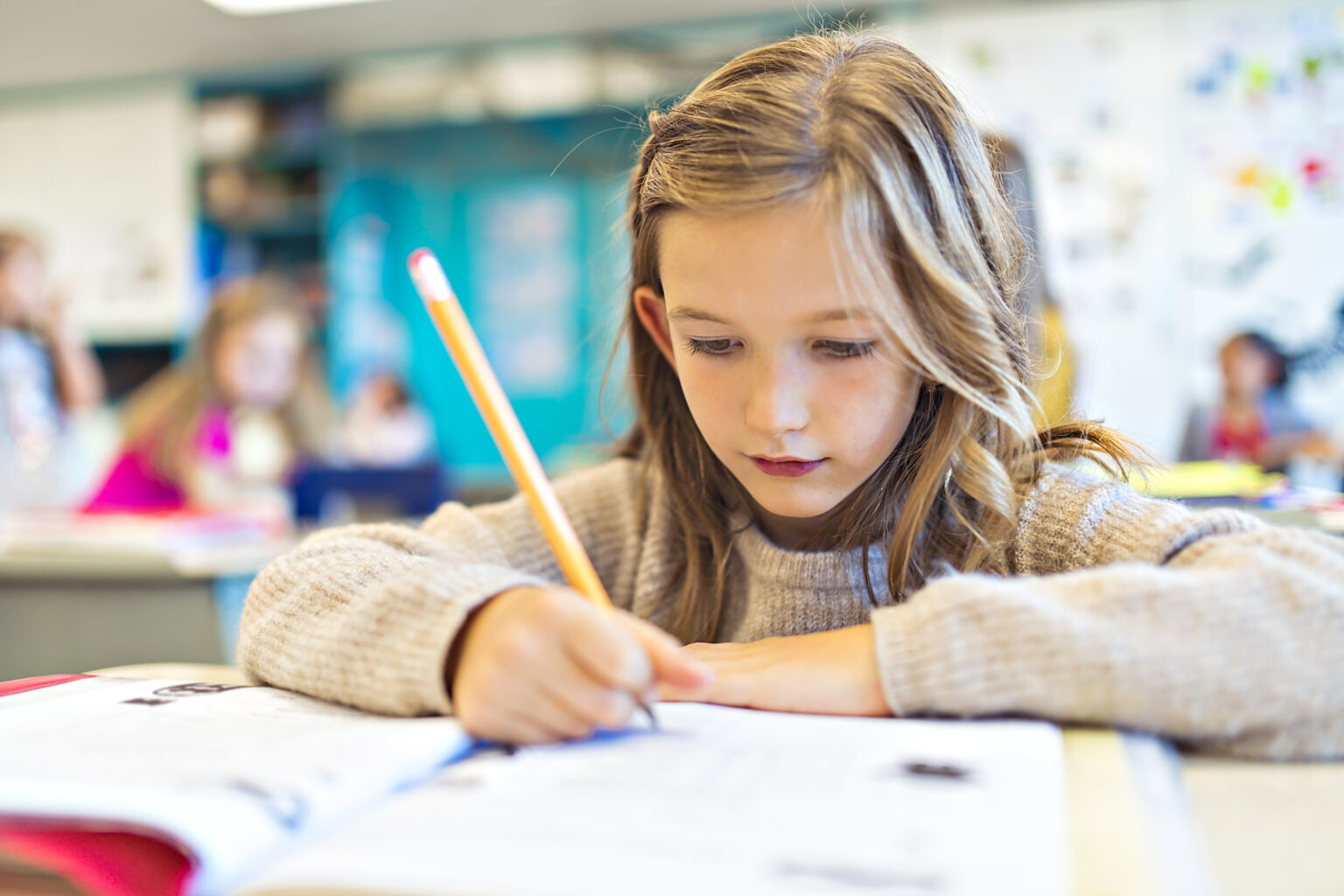 4 Types of Accommodations and Modifications to Support Student Success ...