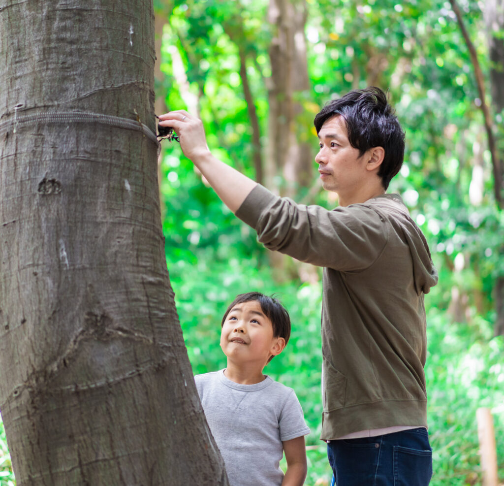 11 Activities That Engage Young Children with Nature - Brookes Blog
